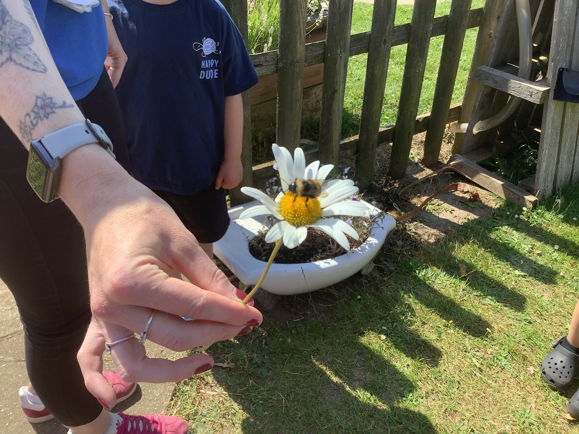 World bee day! – St Helen's Pre-School